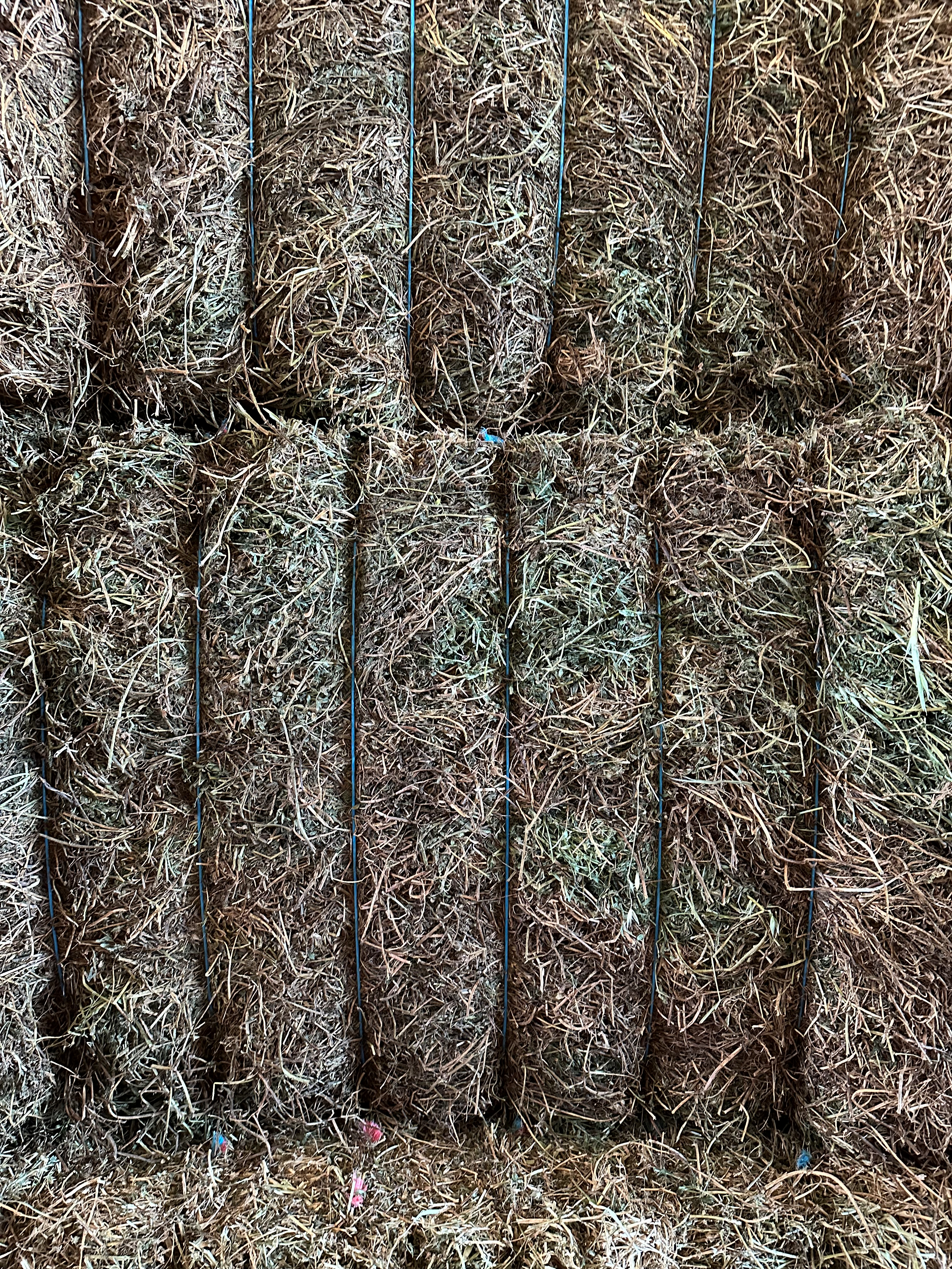 Buy Vetch Hay in Condobolin NSW 84899