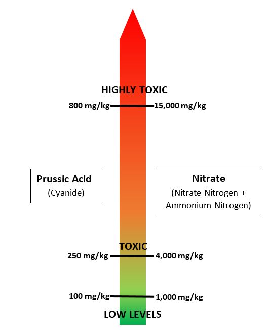 84003 - QUALITY CERTIFICATE